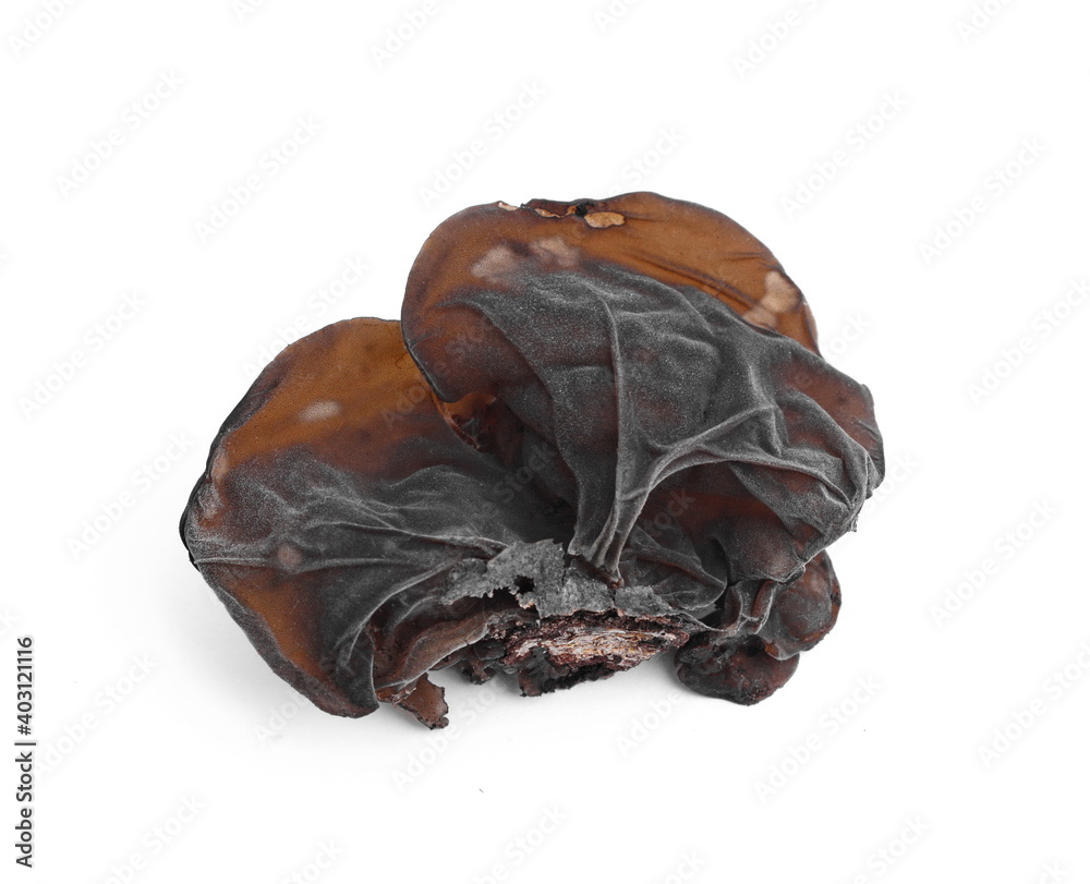 Jews ear (wood ear, Auricularia auricula, Hirneola polytricha, jelly ...
