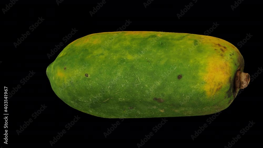 Realistic render of a rotating Ripe Papaya (Red Lady variety) on ...