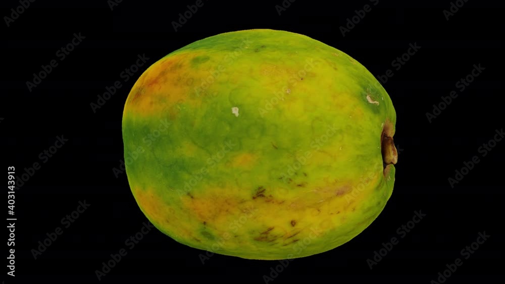 Realistic render of a spinning cut Ripe Papaya (Red Lady variety) on ...