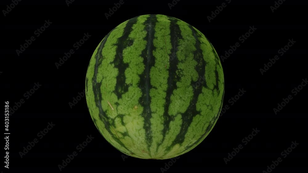 Realistic render of a rolling Watermelon on transparent background ...