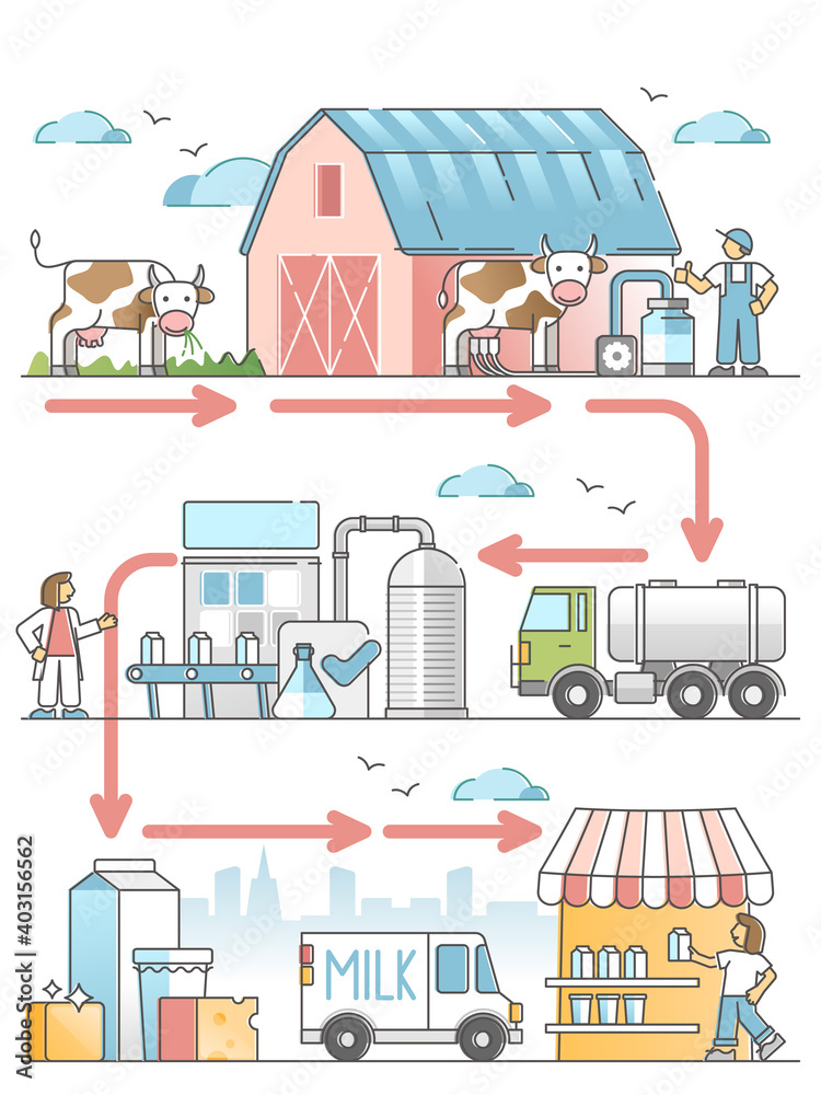 Milk production diagram with dairy industry process chain outline ...
