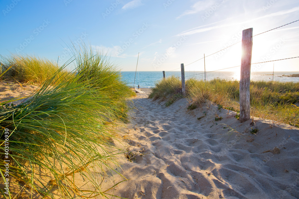 Paysage de bord de mer, chemin de sable menant à la plage à travers les ...