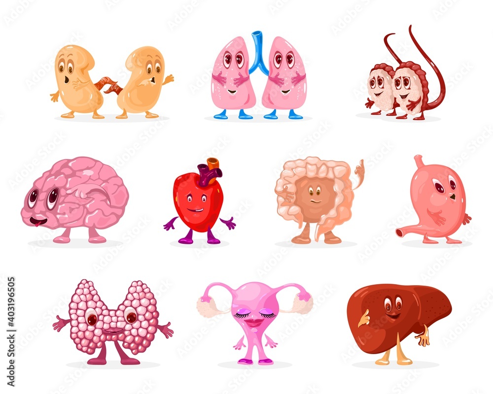 Funny collection of body organs, brain, intestine, heart, lungs, liver ...