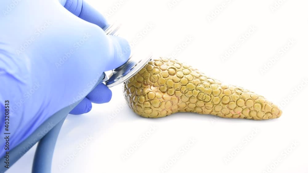 Doctor diagnoses anatomical model of pancreas with stethoscope in video ...