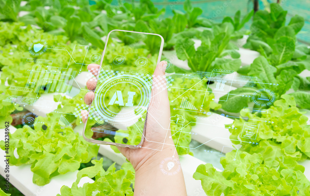 smart farmer holding smartphone,farm background,concept agricultural ...