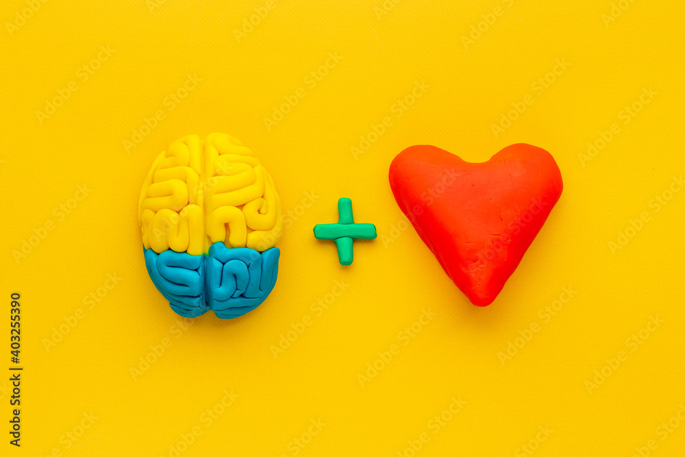 Heart and brain connection. Emotional intelligence concept. Stock Photo ...