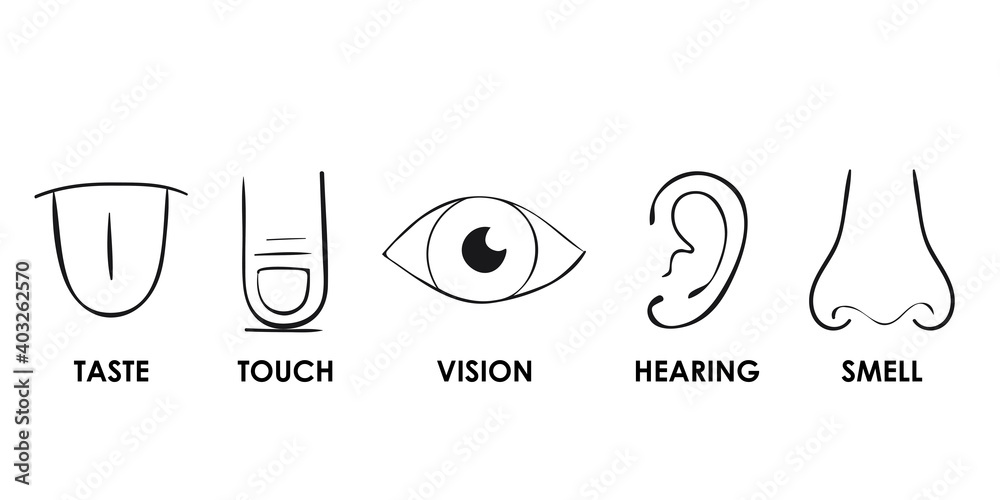 Set of simple five human feelings. Five Senses Body Parts Mouth or lips ...