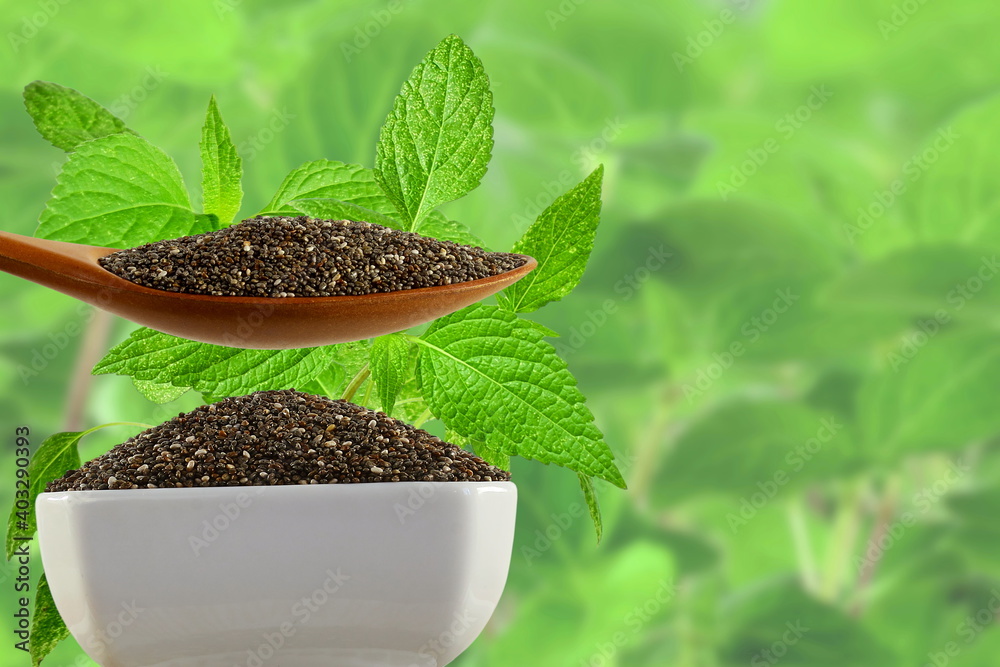 chia seeds Salvia hispanica isolated in spoon and jar with plant leaves ...
