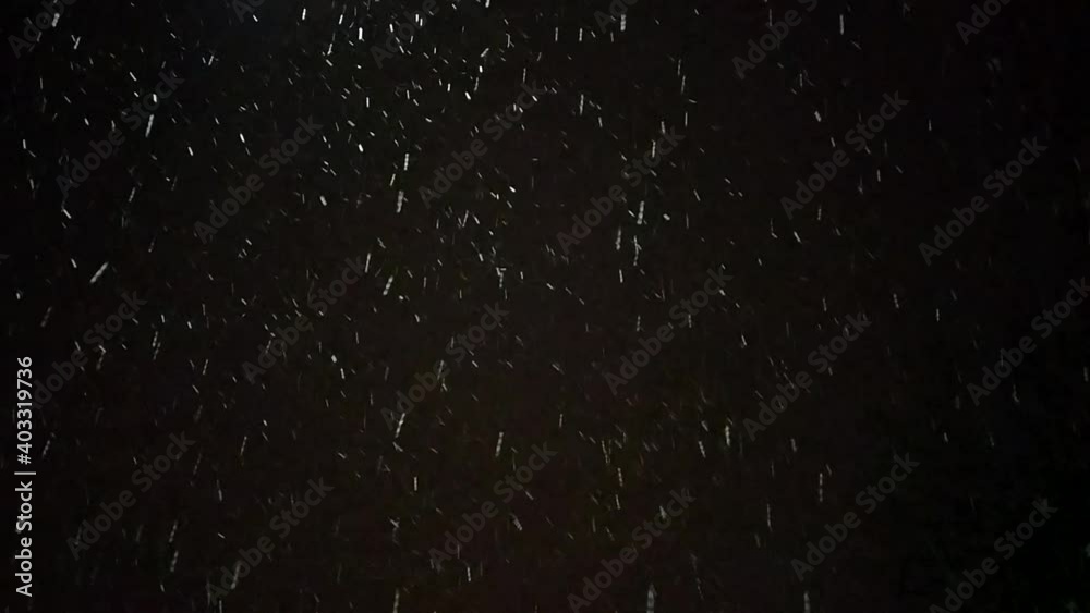 Snow falls at night. Real Snow, falling snow isolated on black ...
