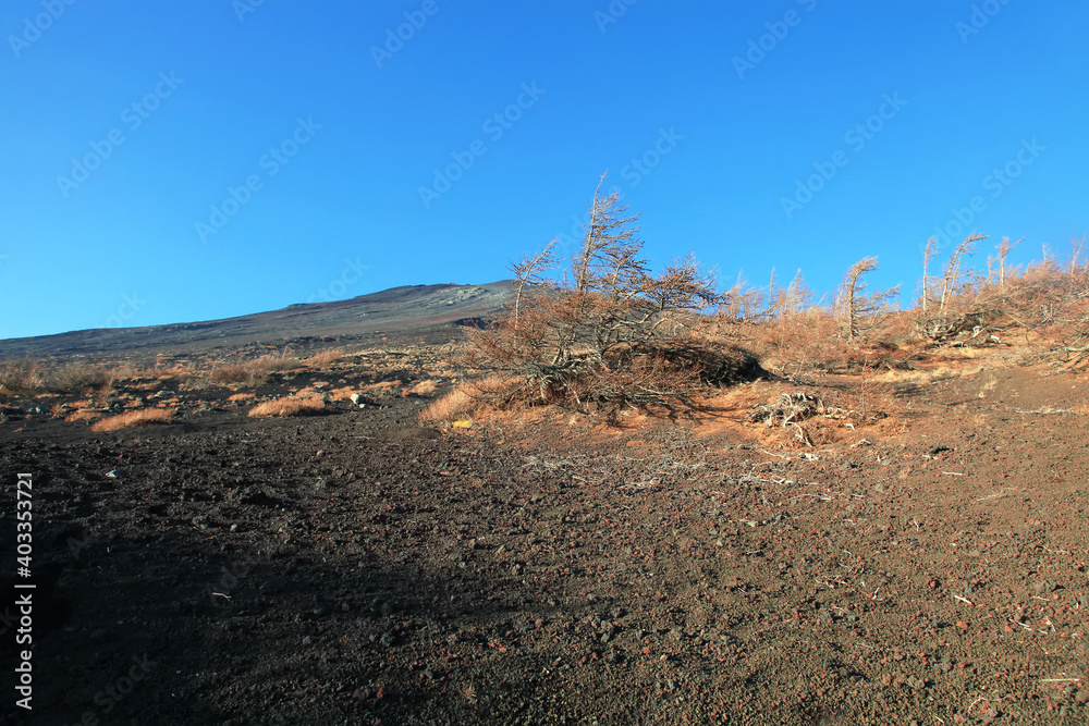Mount Fuji in Japan at 2400m elevation. Stock Photo | Adobe Stock