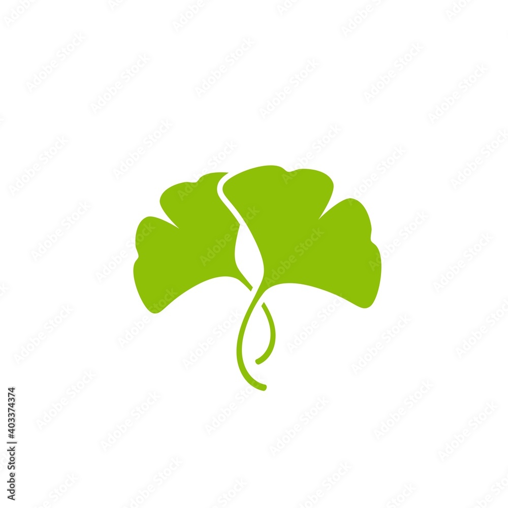 Cartoon flat green ginkgo biloba leaves isolated on white. Nature eco icon. Stock-Vektorgrafik ...