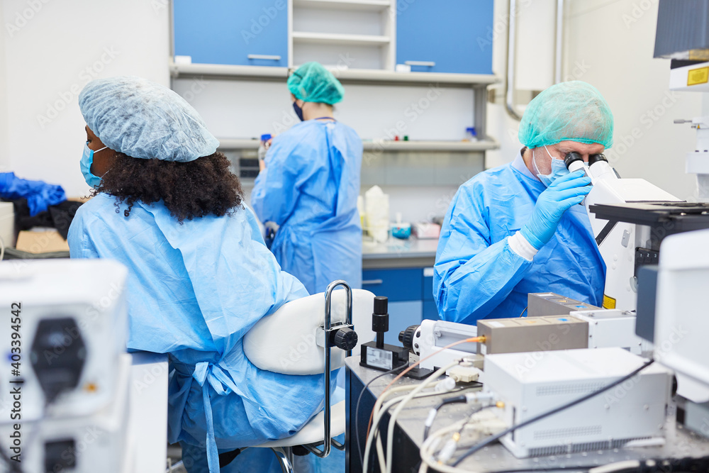 Research team working together in the laboratory Stock Photo | Adobe Stock