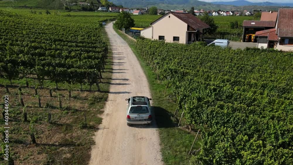 Cabriolet car driving through the French vineyard. Aerial view on the ...