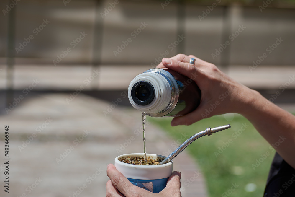 Manos sosteniendo termo y cebando mate con el fondo desenfocado Stock ...