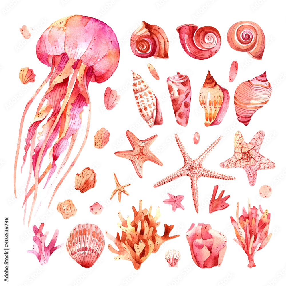 Watercolor marine clipart. Pink, purple and beige theme with starfish ...