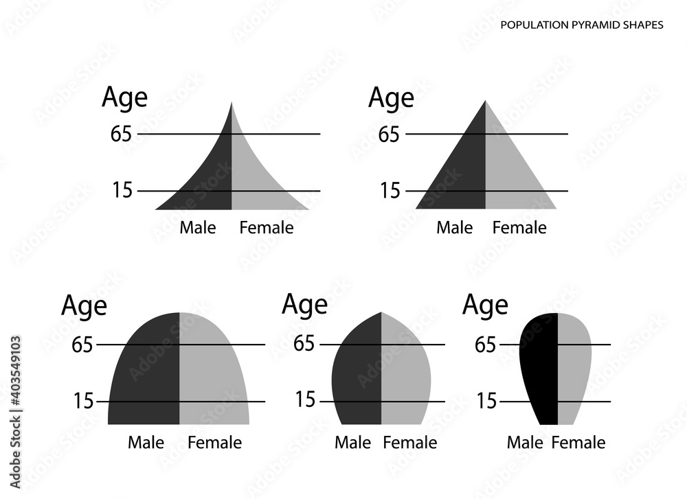 Population and Demography, Illustration Set of 5 Types of Population ...