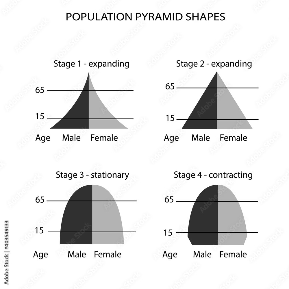 Population and Demography, Illustration Set of 4 Types of Population ...