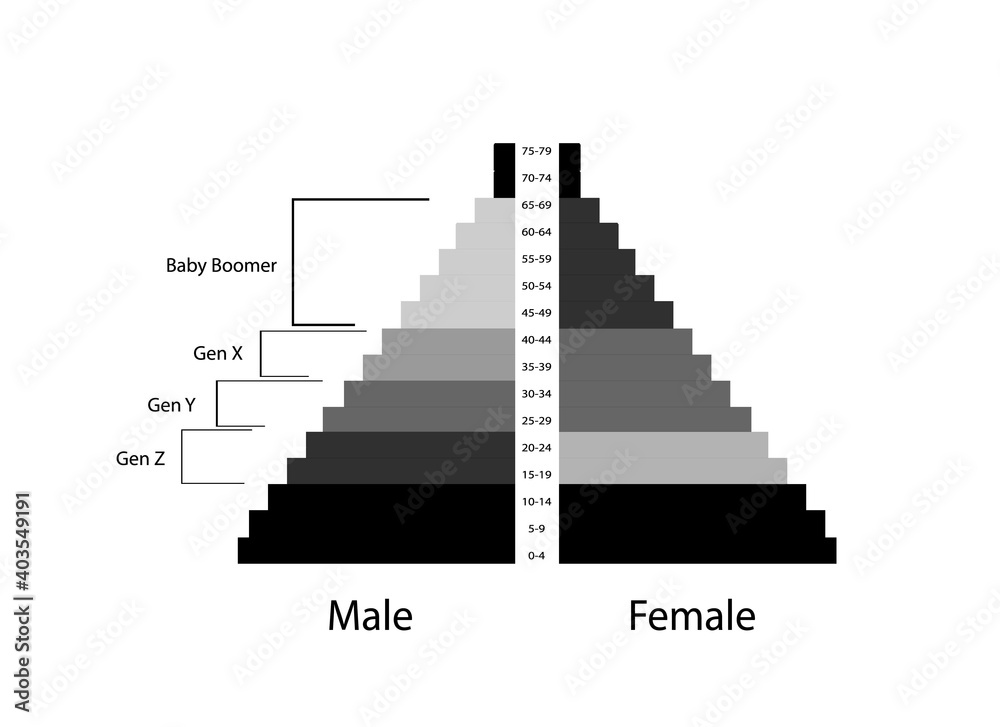 Vetor de Population and Demography, Population Pyramids Chart or Age ...