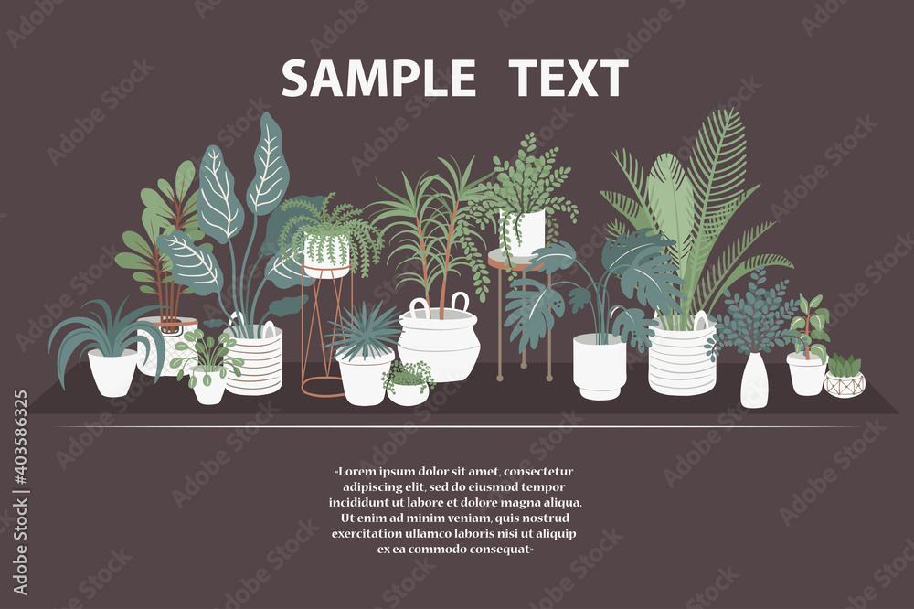 Vector colorful poster with indoor plants and flowers. Cartoon ...