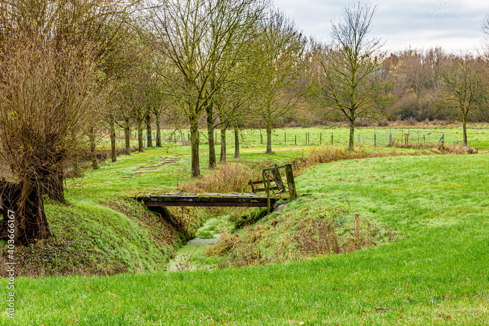 Foto de Dutch field with green grass, an old wooden footbridge over a ...