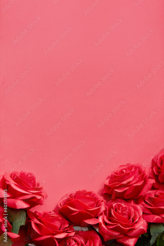 Red roses in pink background to celebrate anniversary, happy valentine ...