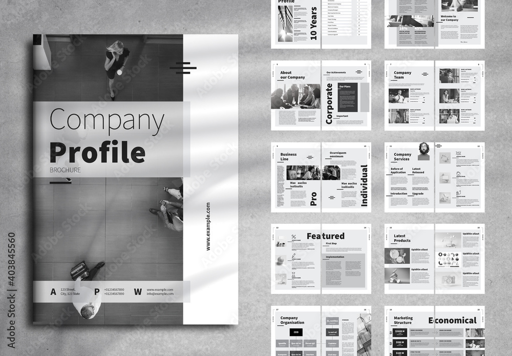 Clean Company Profile Layout Stock Template | Adobe Stock