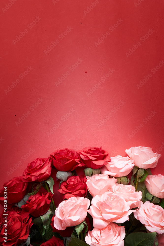 red and pink roses in red background to celebrate anniversary, happy ...