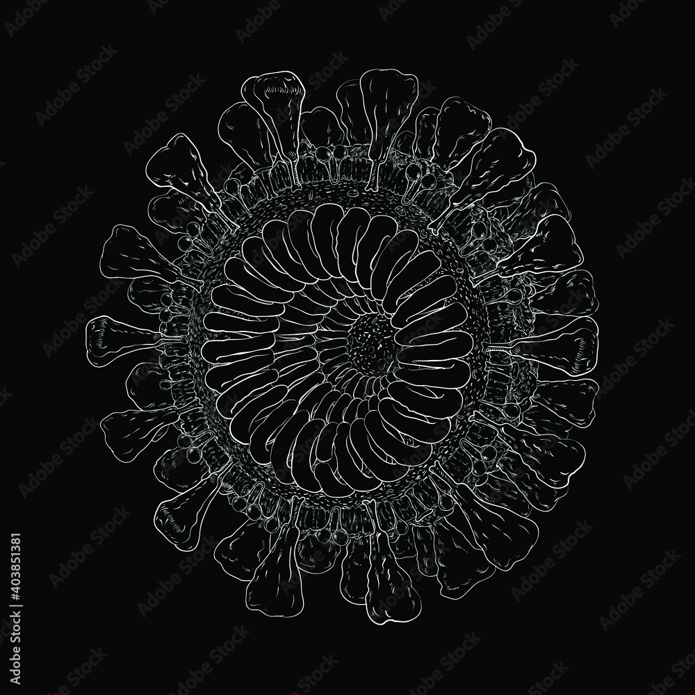 Line art Coronavirus-19 on black background vector illustration ...