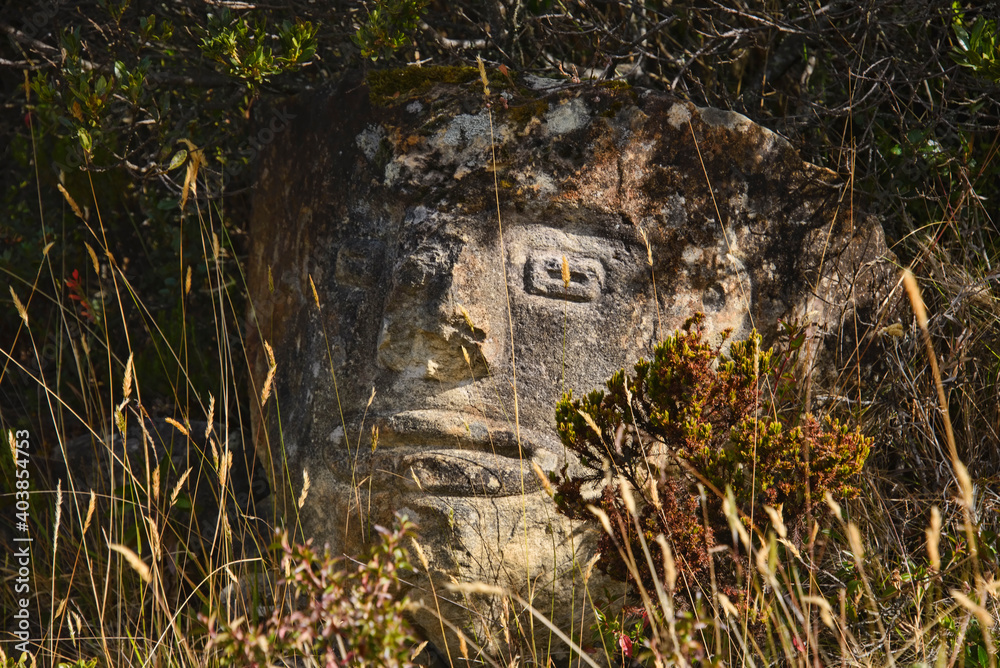 Muisca indigenous stone figure on the Páramo de Oceta trek, Monguí ...