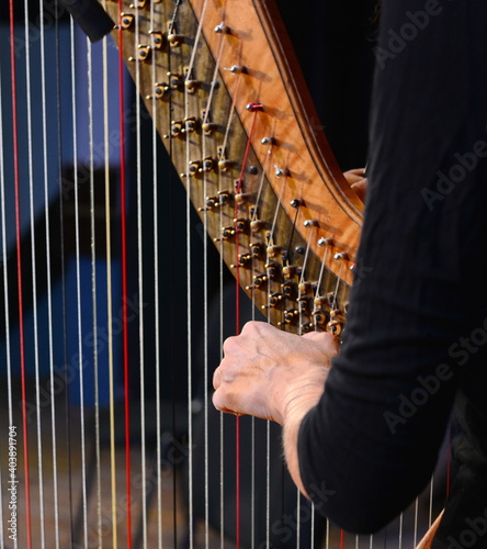 Hand Harp Player