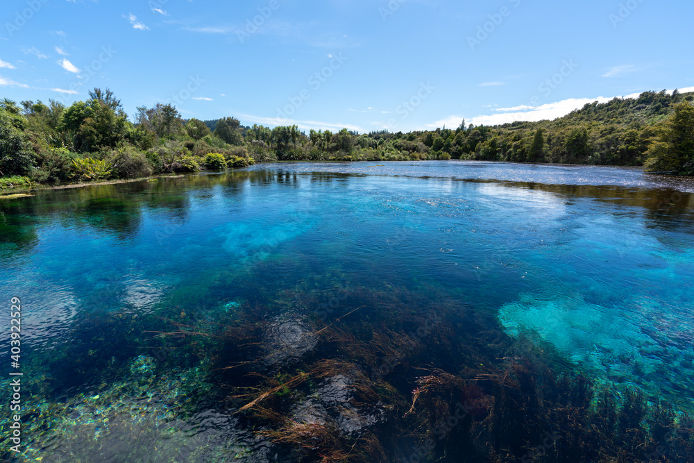 Te Waikoropupu Springs and clear blue pools in New Zealand also known ...