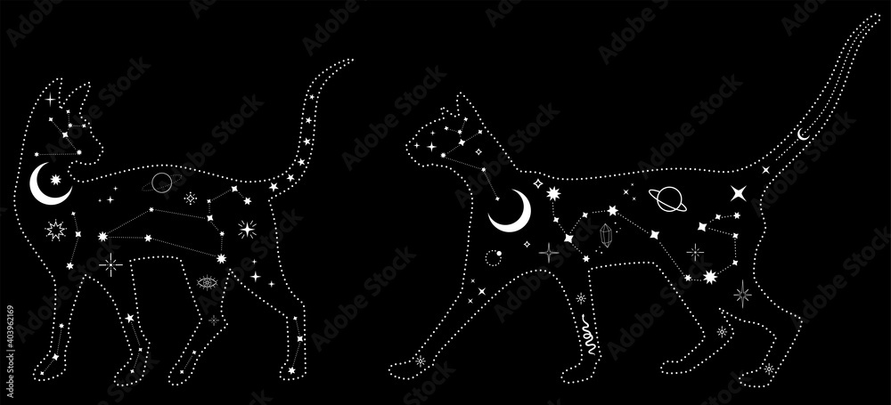 Vetor de Set of black magical cats, Mystic Sphynx cat with crescent ...