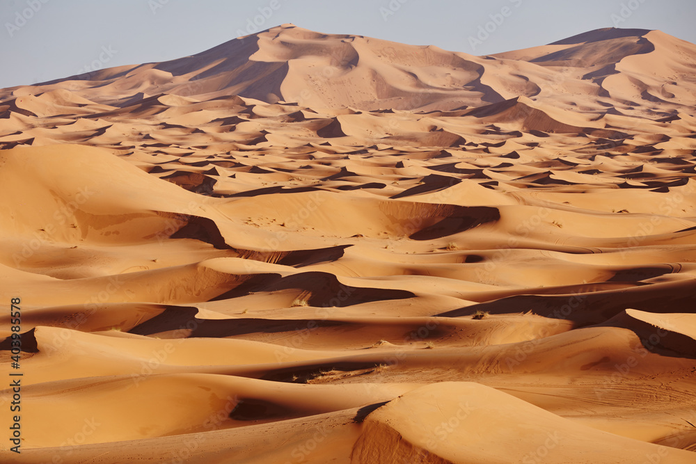 Endless Sands Of The Sahara Desert Beautiful Sunset Over Sand Dunes Of