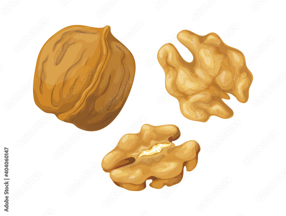 Cartoon walnut. Nuts in shell and peeled pieces. Isolated natural plant ...