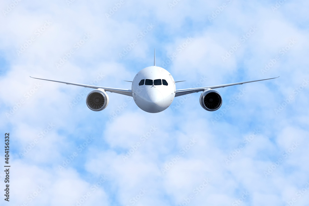 Travel by airliner. An airliner is a type of aircraft for transporting ...