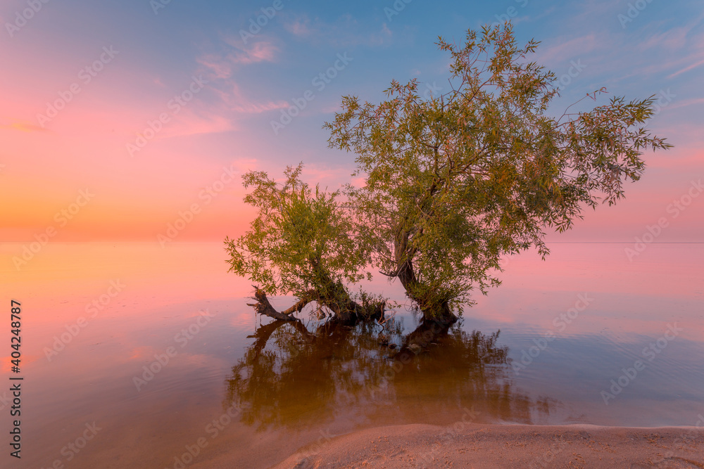 Beautiful waterscape. Spring flood at the wide river. Willow trees ...