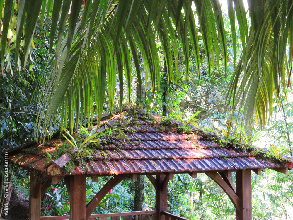 Tiled roof of a wooden observation tower covered with tropical ...