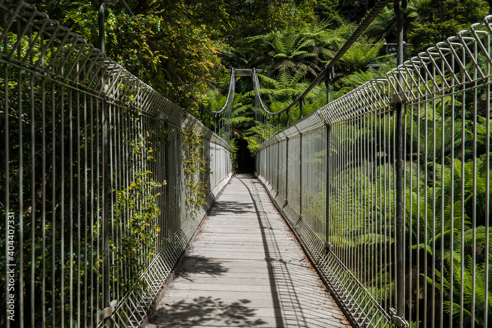 Suspension bridge in Tarra- Bulga national park crossing a river Stock ...