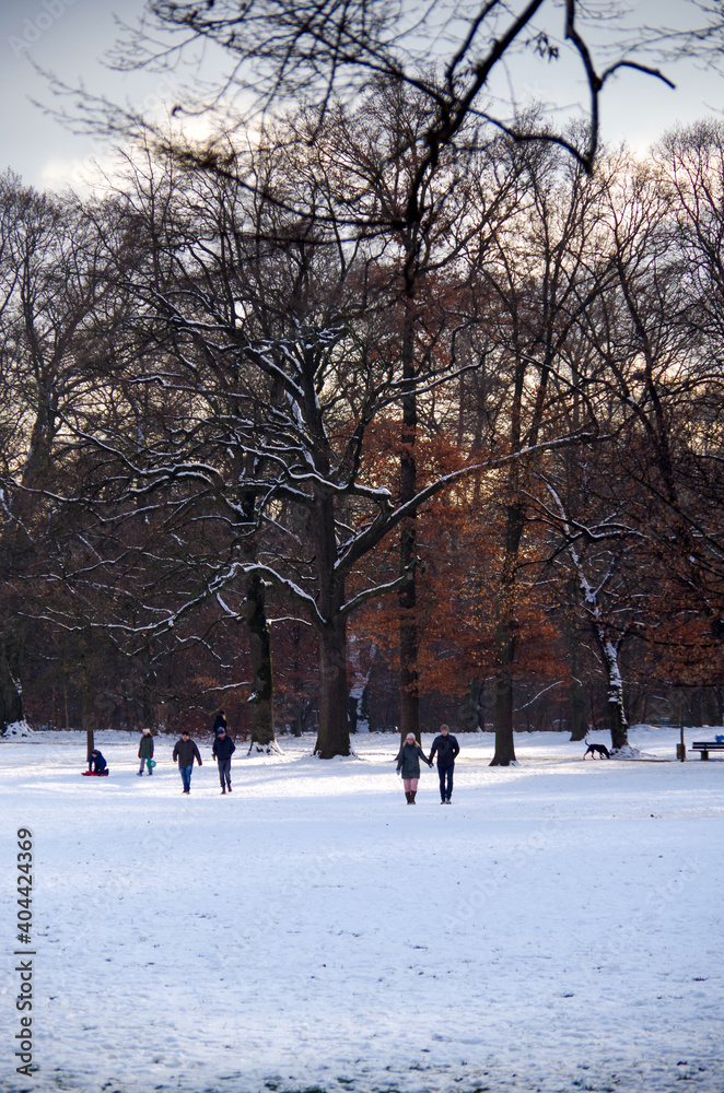 Empty park benches underneath snow covered trees in public park ...