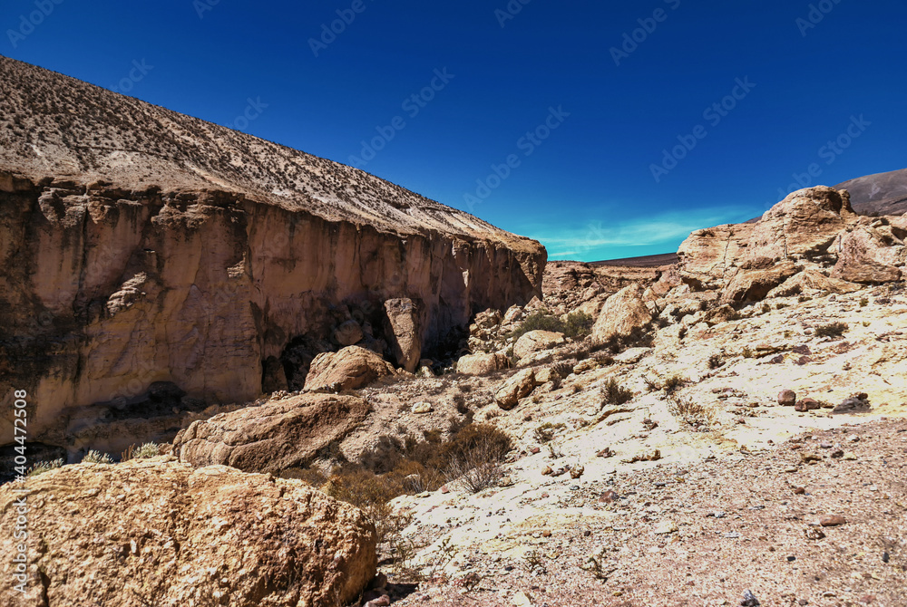 Large river canyon running through the Atacama Desert in the Arica y ...