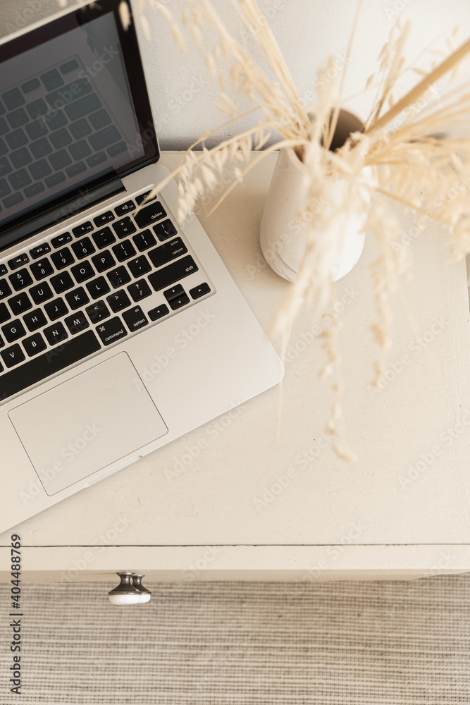 Laptop computer on pastel beige table. Minimal boho styled home office ...
