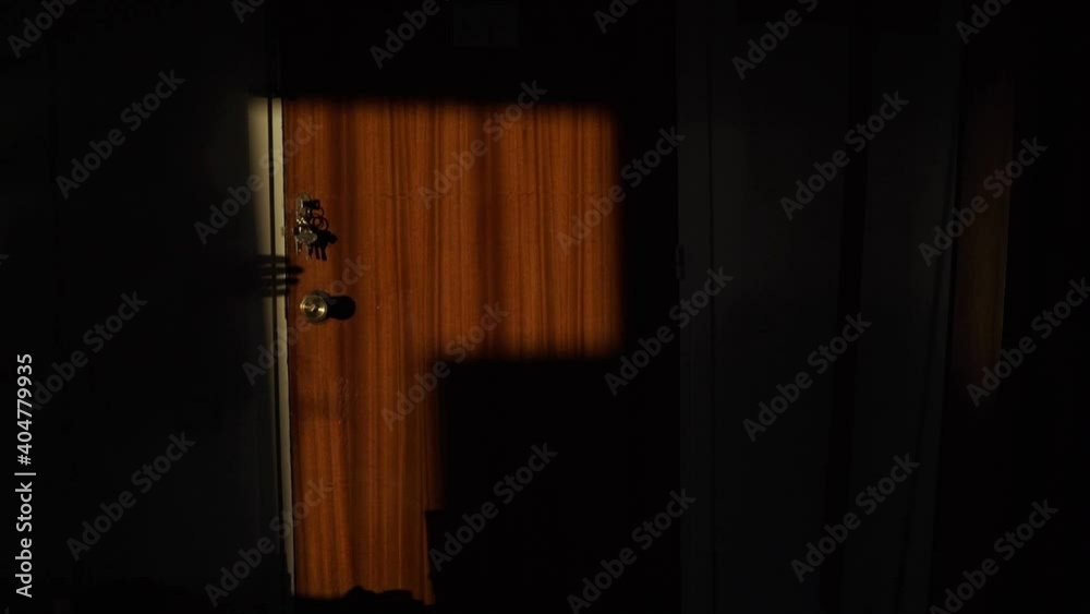 Scary shadow of a hand on the door. Silhouette of a thief hand trying ...