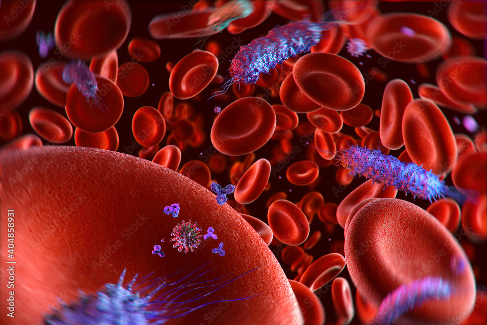 Red blood cells erythrocytes, coronavirus covid-19, rod-shaped bacteria ...