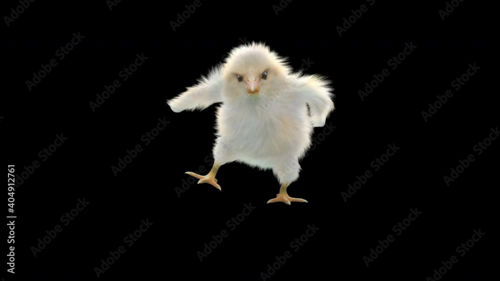 Baby Chickens Dance CG fur 3d rendering animal realistic composition 3d ...
