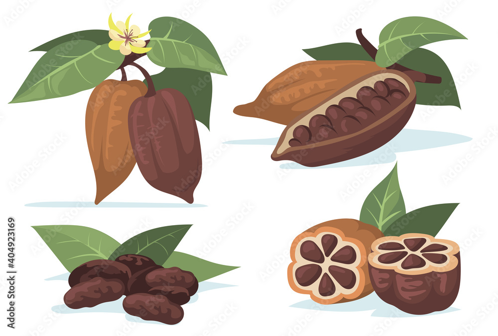 Colorful cocoa beans flat illustration set. Cartoon chocolate beans ...