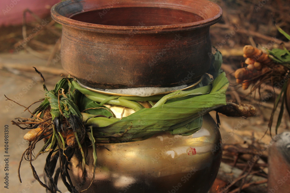 celebrating Traditional Thai Pongal festival to sun god with pot, lamp ...