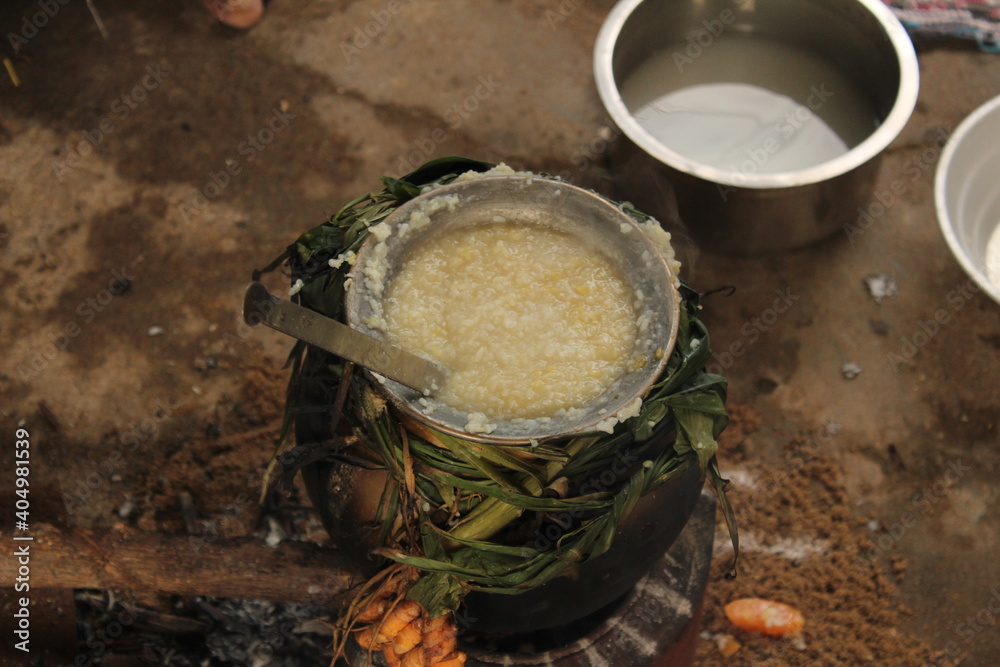 celebrating Traditional Thai Pongal festival to sun god with pot, lamp ...