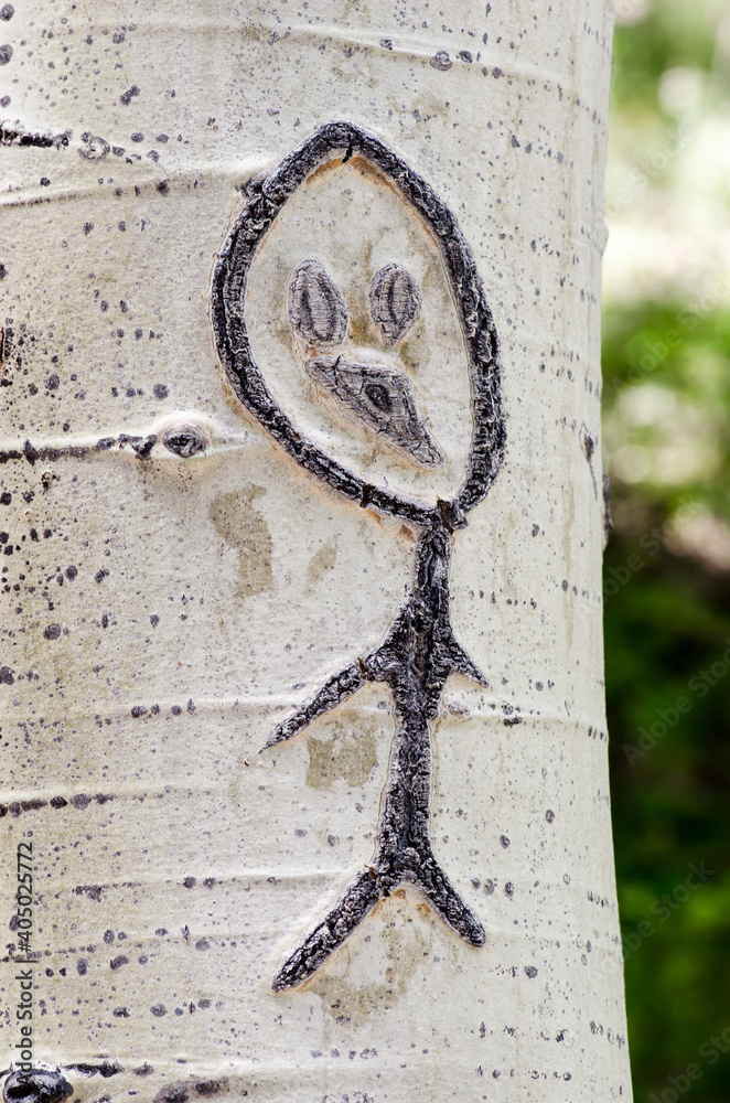 Stick Figure Carved Into an Aspen Tree with a happy facial expression ...