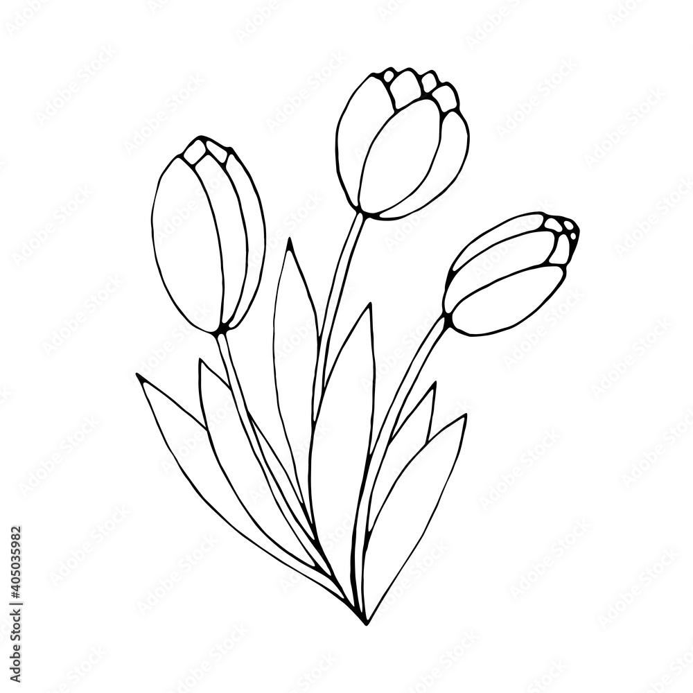 Bouquet of three contour flowers of tulips. Vector hand drawn design ...