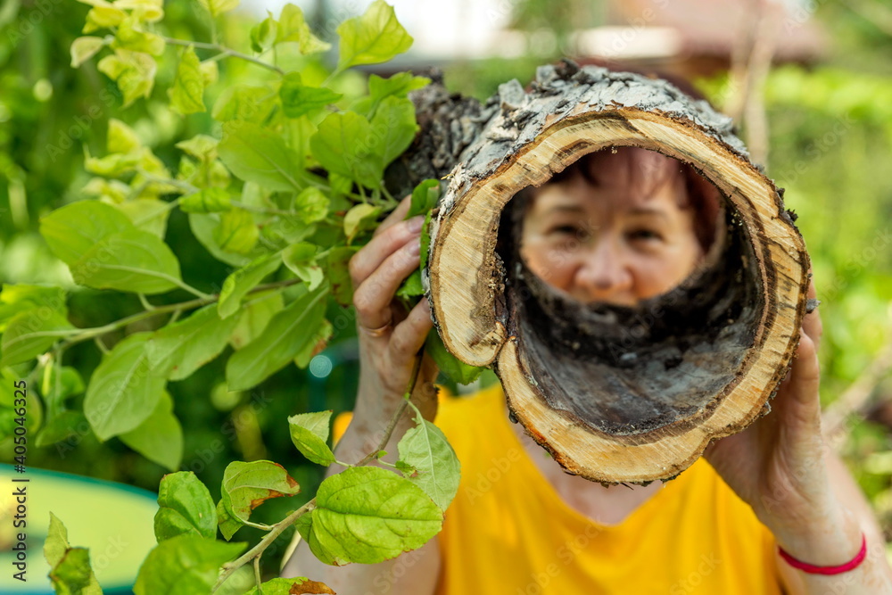 beautiful mature woman shows an unusual piece of trunk with a large ...